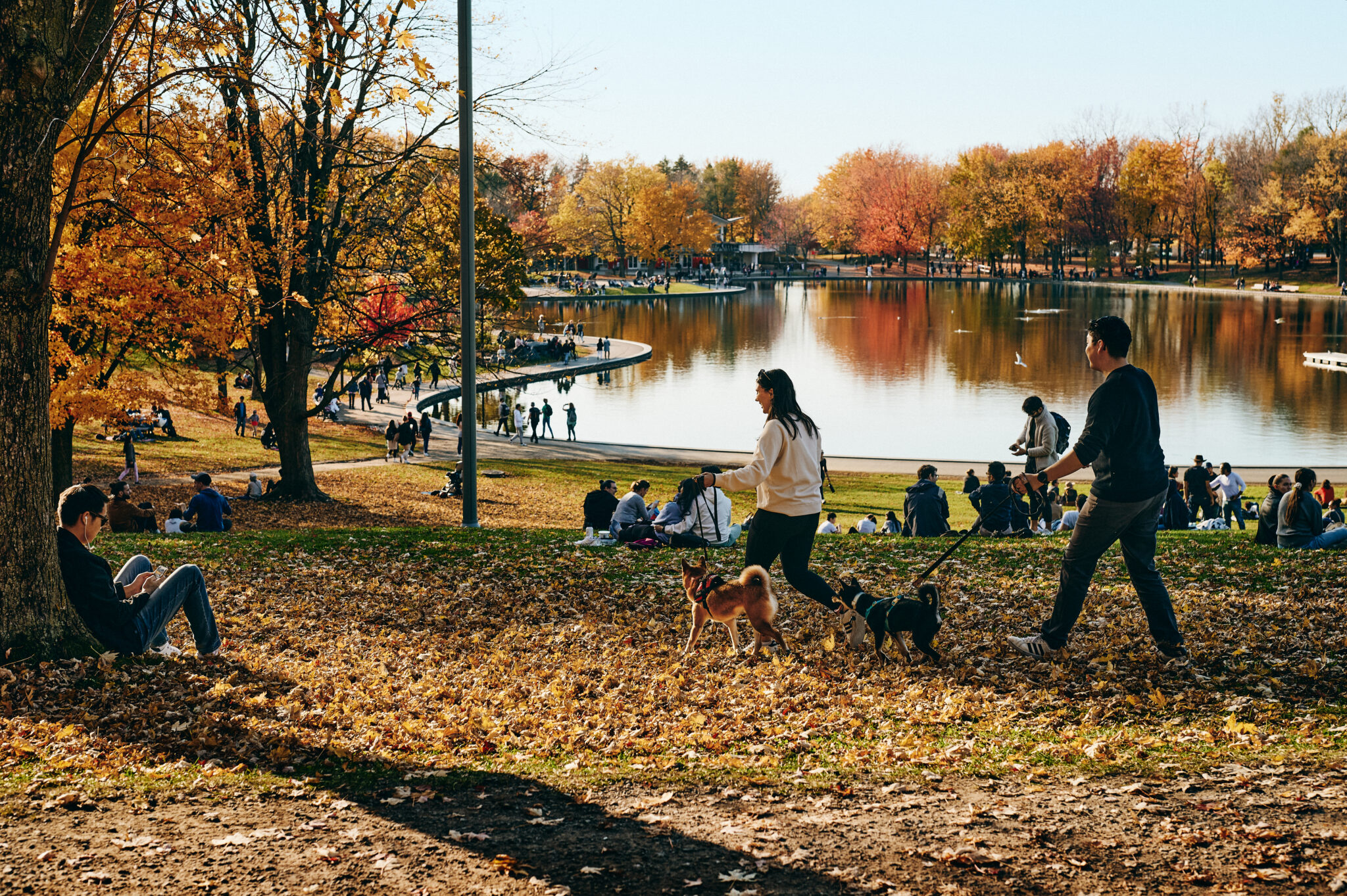 Pourquoi Montréal est-elle connue ? Bâtiments et points de repère ...